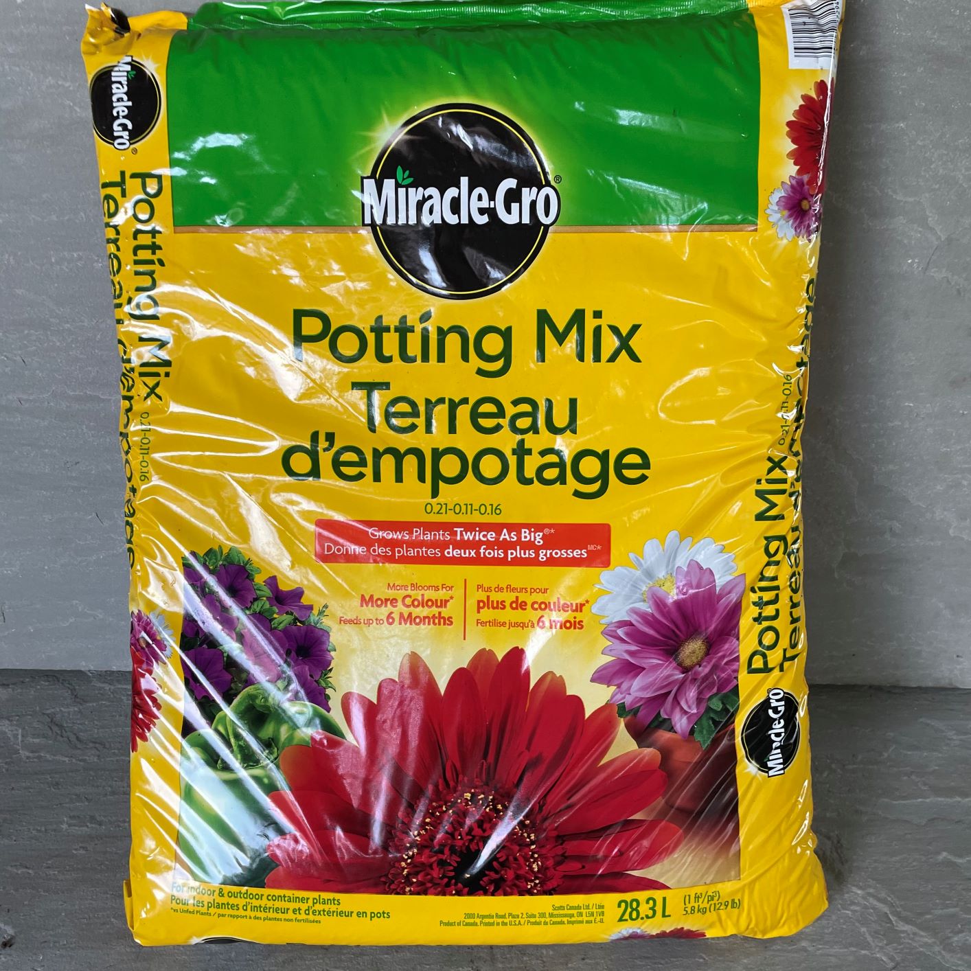 mg potting | Fiesta Gardens Store